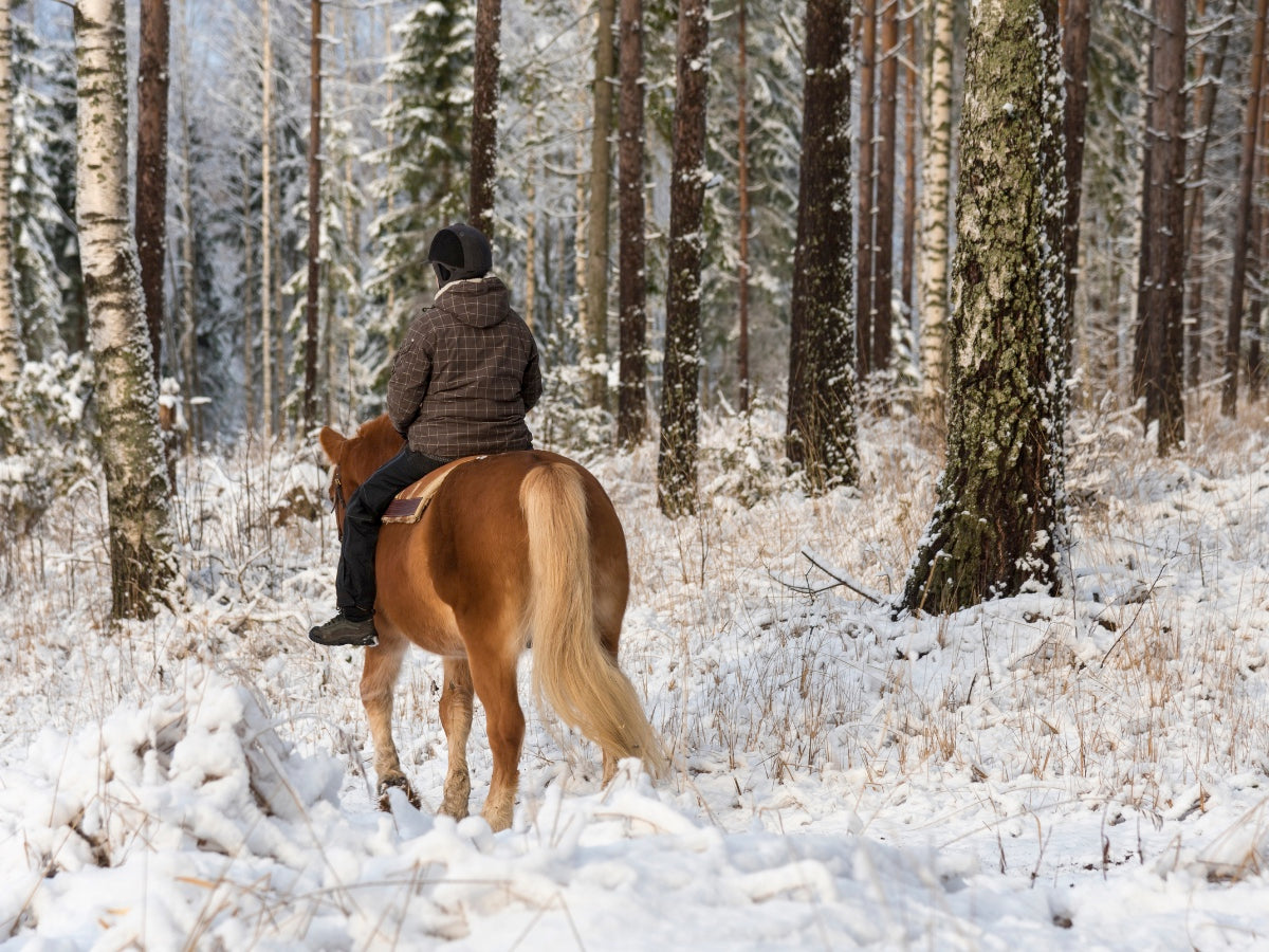 The Best Riding Coats to Keep You Comfortable This Winter | Equine ...