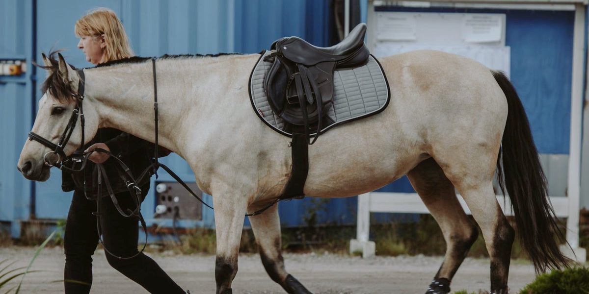 What are the Different Parts of a Saddle? | Equine Exchange Tack Shop