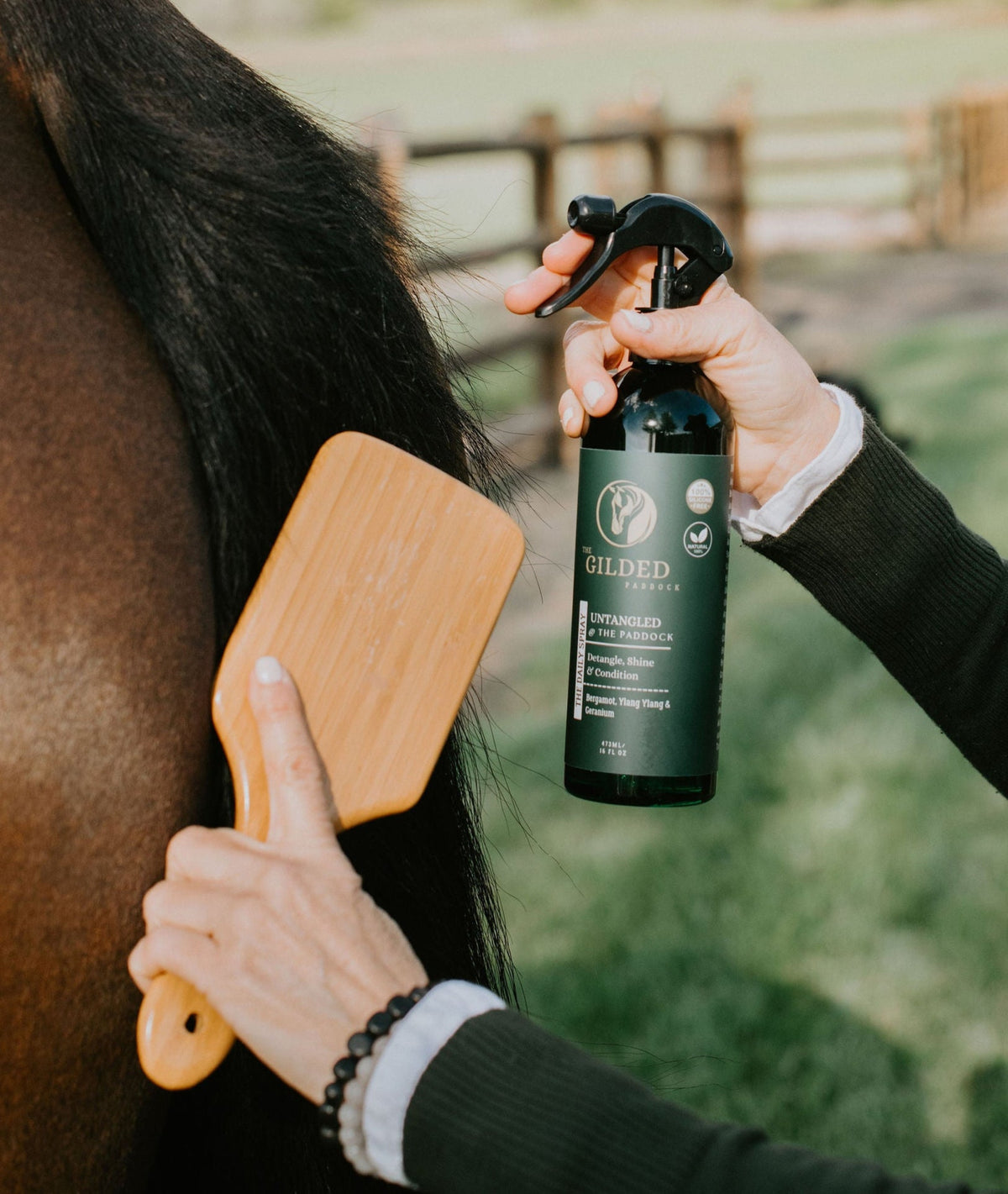 UNTANGLED @ The Paddock - THE DAILY SPRAY | Equine Exchange Tack Shop
