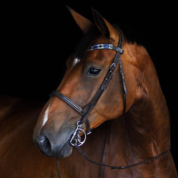 Fager Fredric Titanium Kimblehook | Equine Exchange Tack Shop