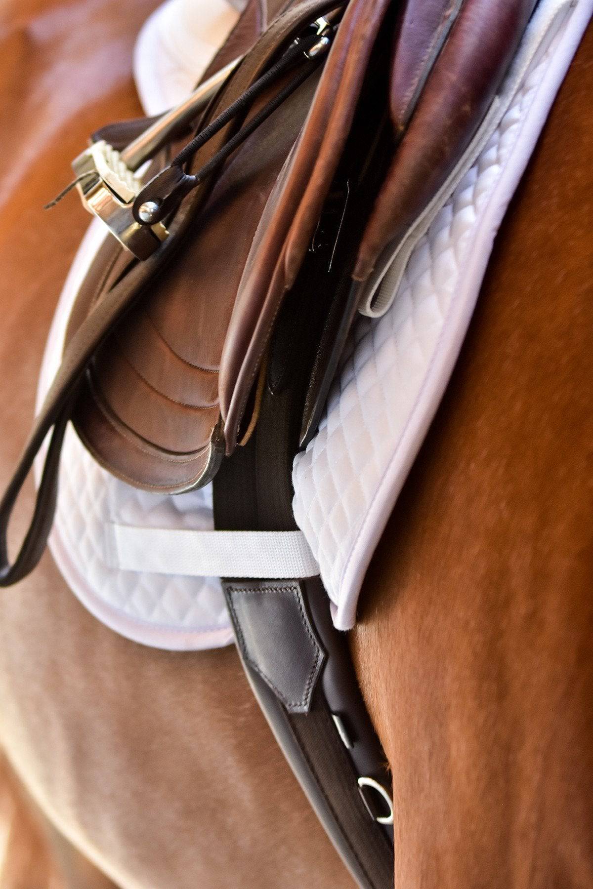 ThinLine Anatomic Hunter Jumper Girth | Equine Exchange Tack Shop